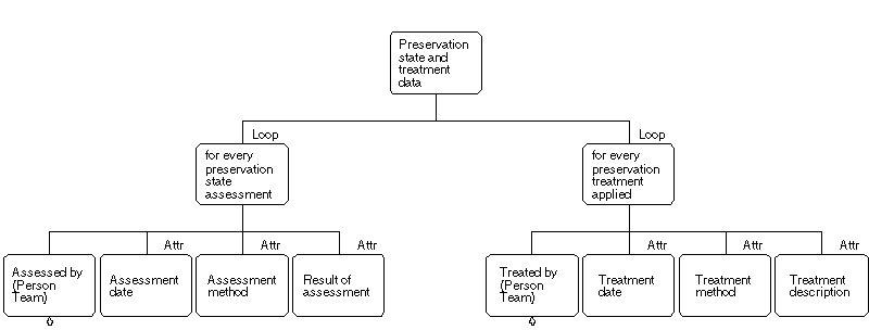CDEFD Preservation State and Treatments